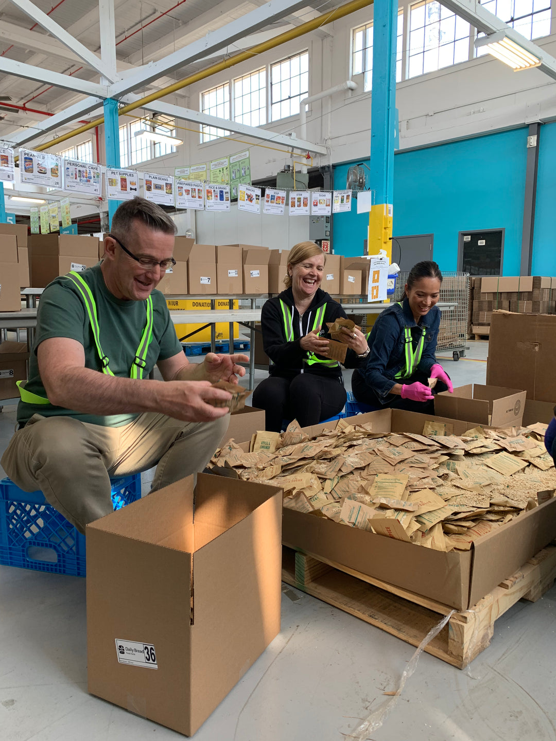 Impact – Daiya Foods